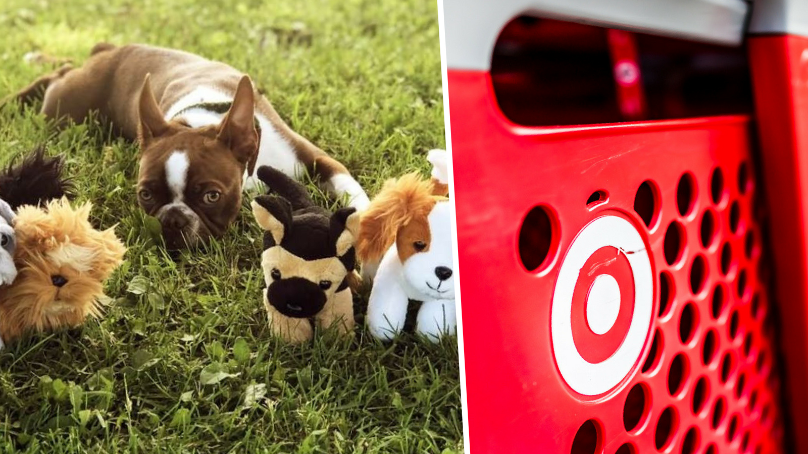Kids Can Get A Free Plush Pup At Target For Trading In This Old Toy