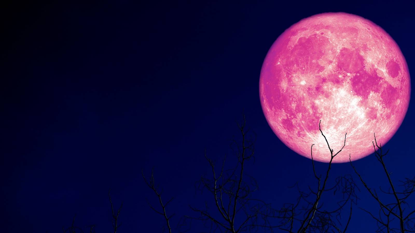 Midsummer Strawberry Moon Details