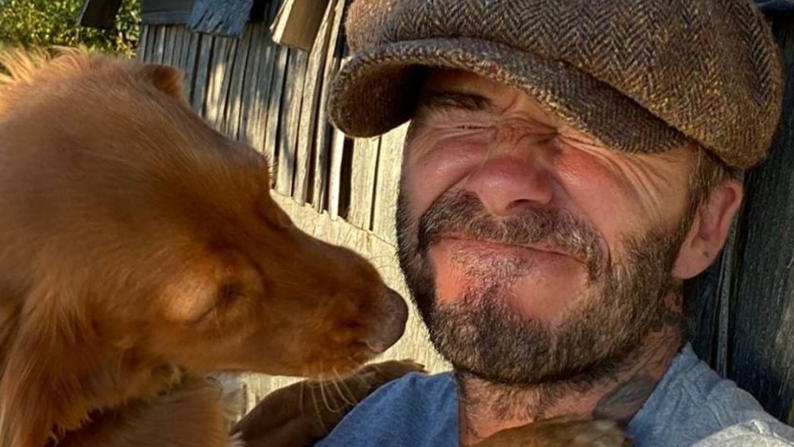 David Beckham Shows Off New Pet For International Dog Day