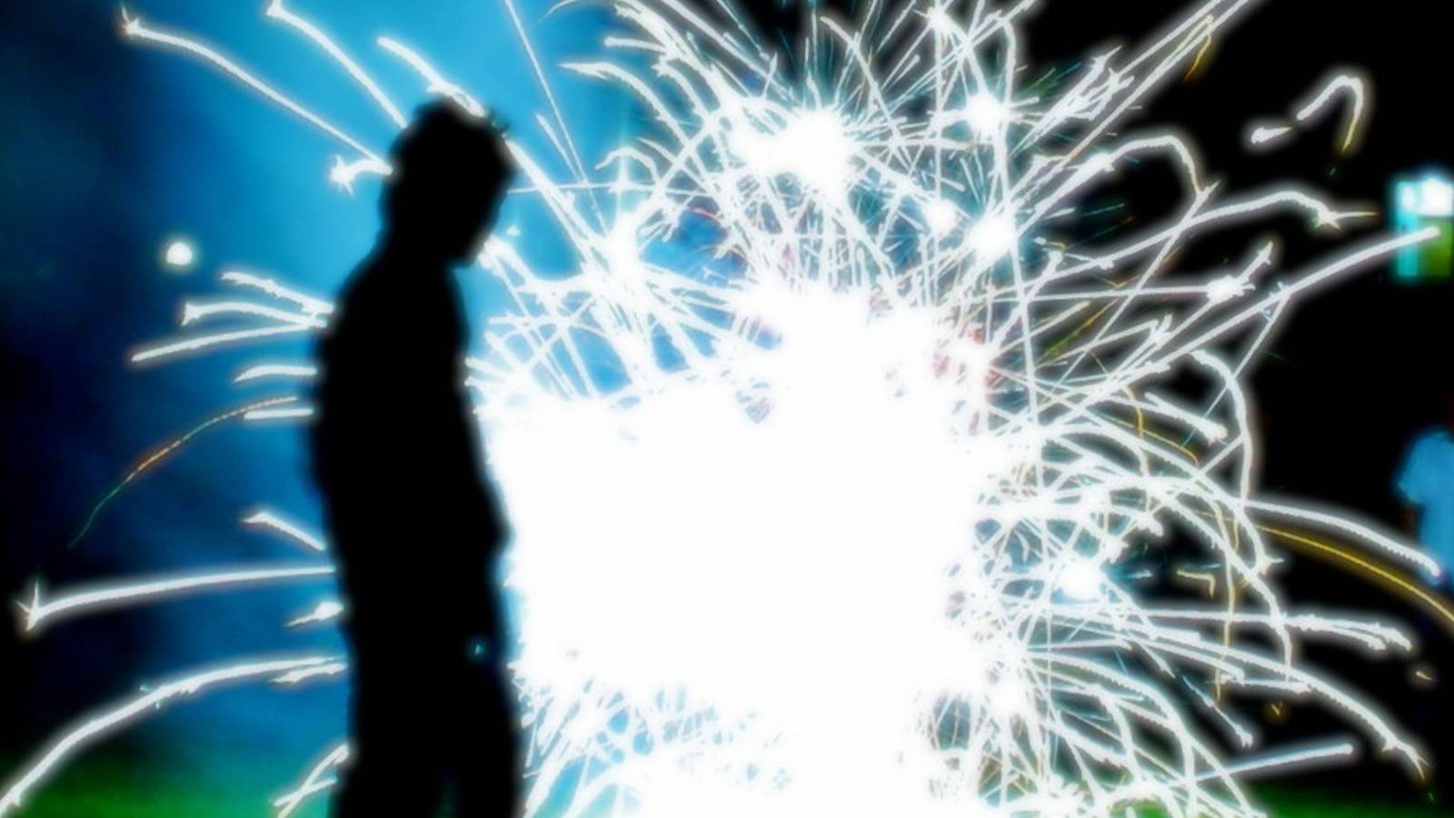 No Fireworks Are Safe At Home With Children