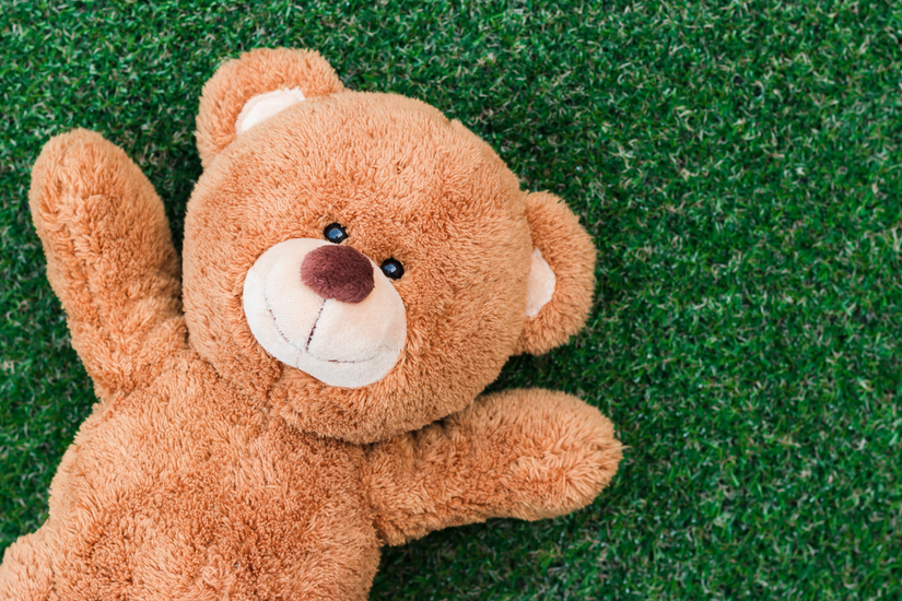 How 'National Bring Your Teddy Bear To School Day' Originated